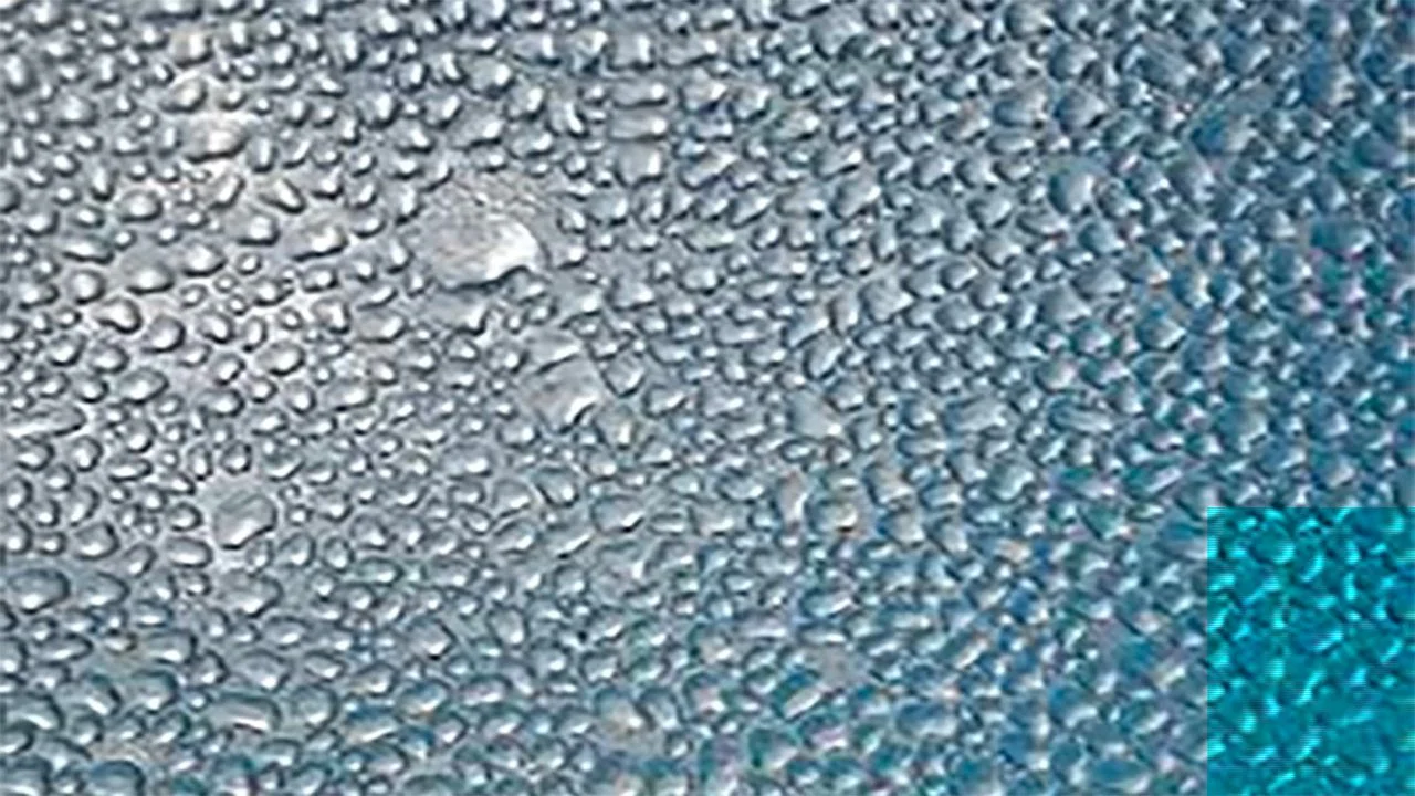 Walk-in Freezer Condensation: Slash 30% Off Energy Costs!